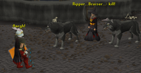 Surok Magis - Darkan