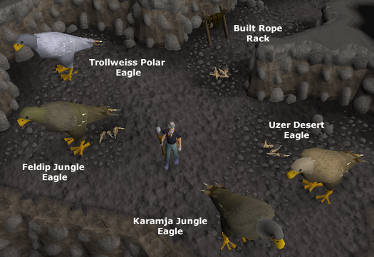 Eagle transport system - Darkan