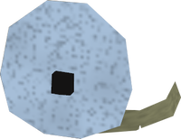 Doctors hat - Darkan